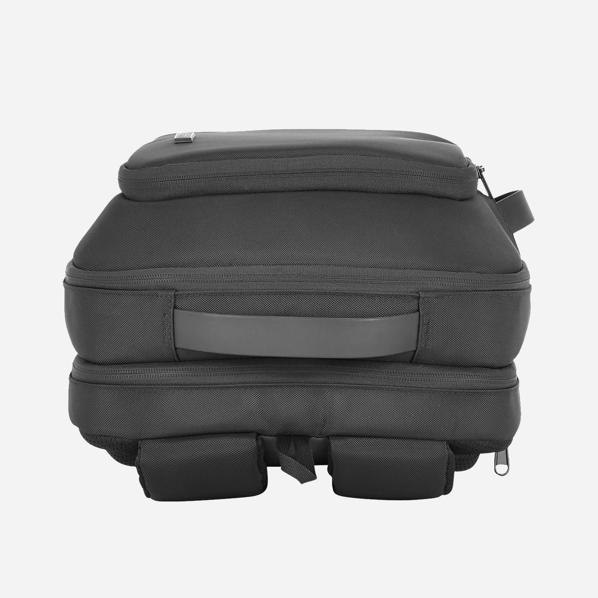 Buy Safari Sage 19L Formal Backpack Black Online