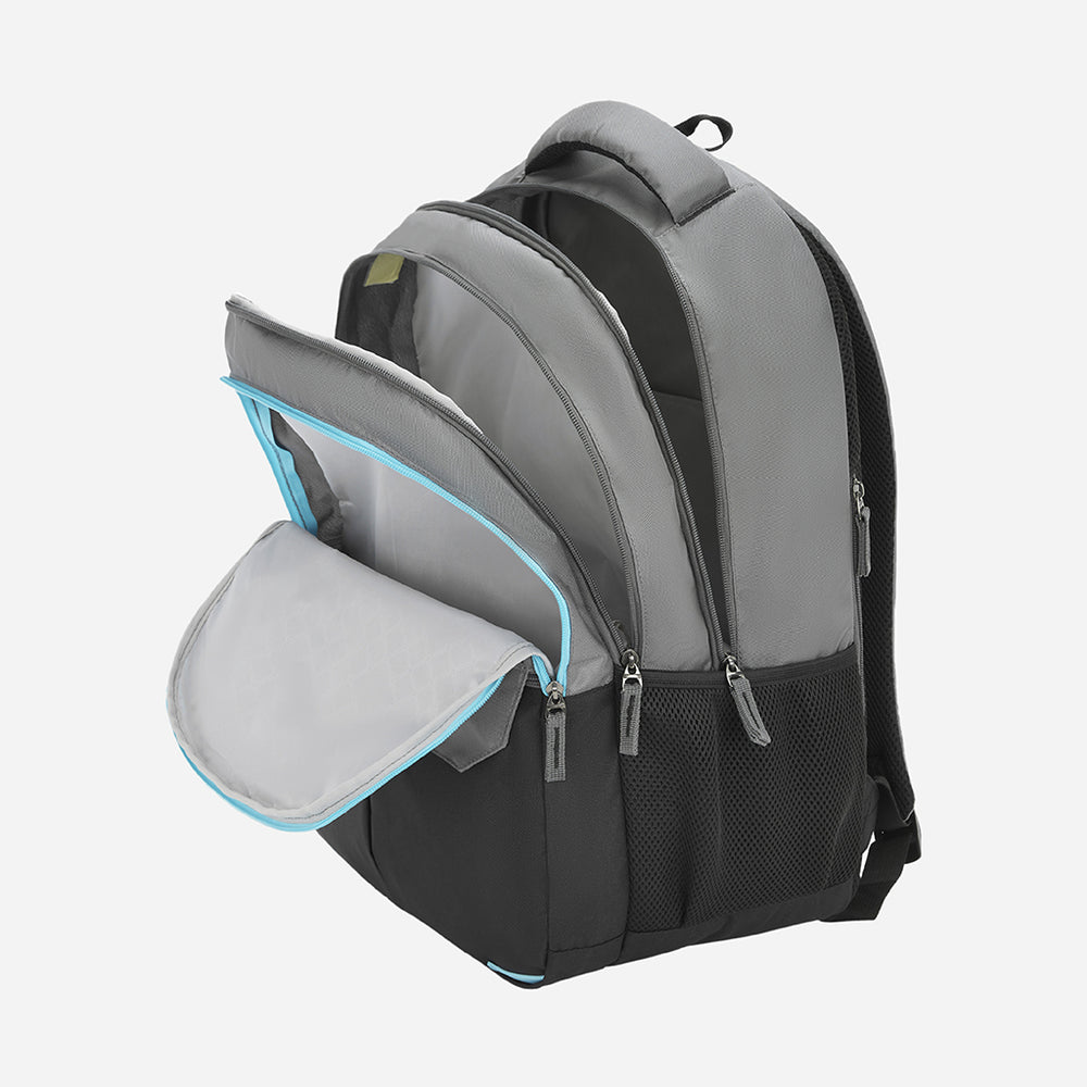 Buy Safari Wing 37L School Backpack Grey Online
